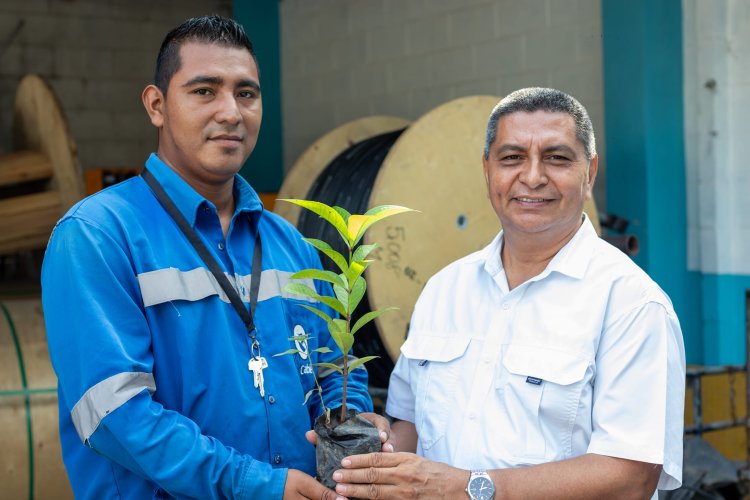 Mundo Cable se une a la celebración del Día de la Tierra con una noble ...